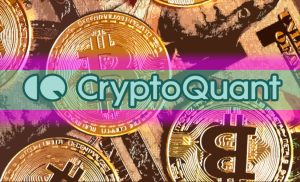 CryptoQuant о структуре инвестиционных потоков в BTC